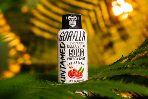 Hemp Energy Shots vs. Energy Drinks - Differences and Benefits